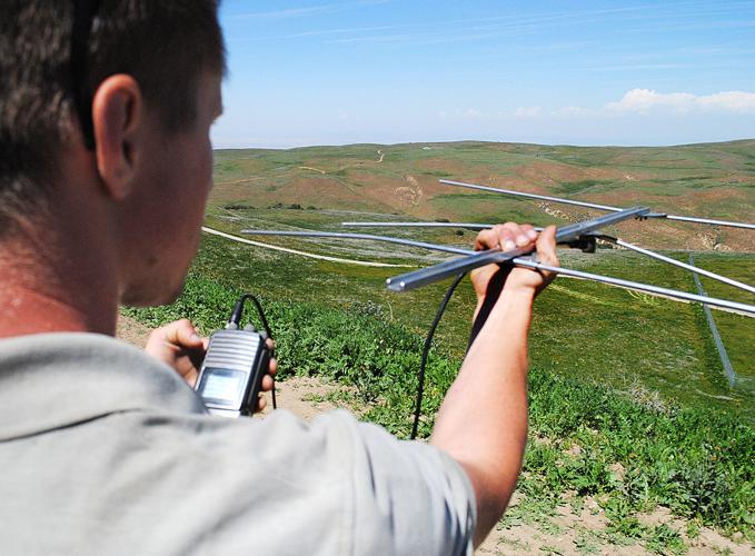 California condors' numbers keep growing | Front Page | leadertelegram.com