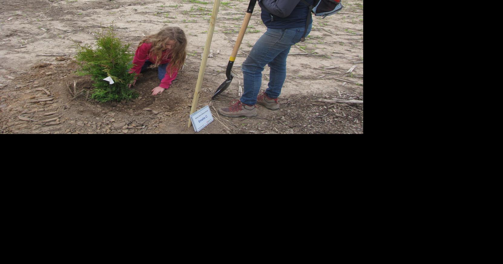 Families plant trees on Xcel site in town of Wheaton | Daily Updates ...
