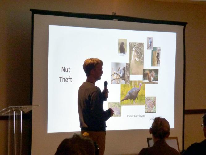 Hazelnut conference attendees hoping to see industry expand | Farm News ...