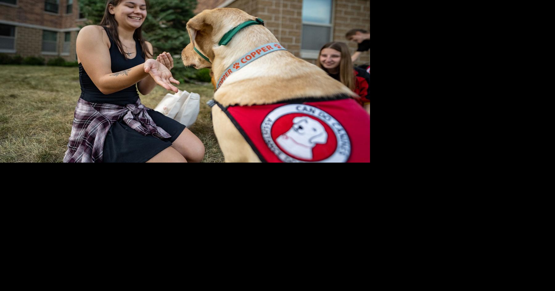 UWRF students reflect on graduation of assistance dogs from Falcon ...