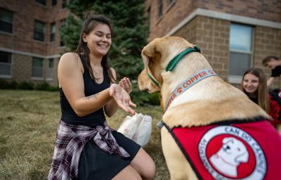 UWRF students reflect on graduation of assistance dogs from Falcon FETCH program | Local News ...