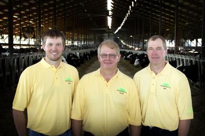 Sunrise Dairy pleased with three-way crossbreds | Dairy ...