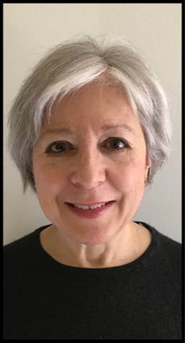 Your Candidate: Stella Pagonis District 4 | Museums | leadertelegram.com