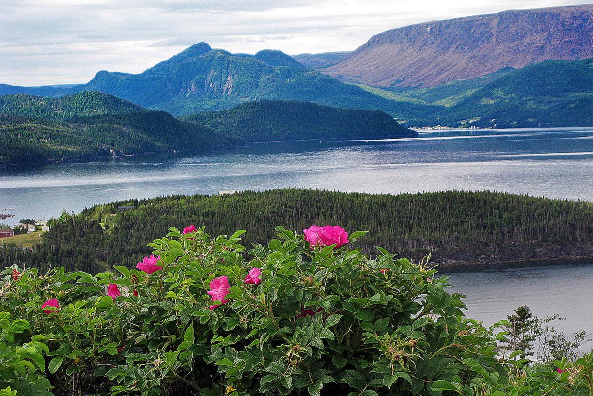 Canada’s Newfoundland offers unique town names and beautiful scenery ...