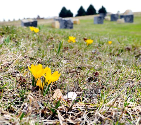 Full circle: Kinstone provides education, rejuvenation at Buffalo ...