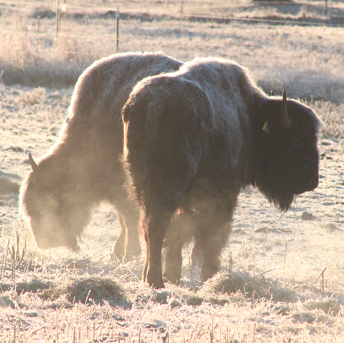 The top photos in the Spooner Advocate - 2024 | | leadertelegram.com