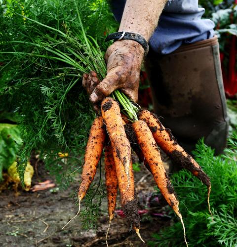 DONE: Room to grow | Country Today | leadertelegram.com