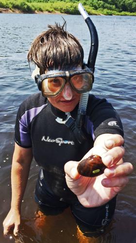 Mussel rescue: Scientists using Chippewa River at Meridean in hopes of ...