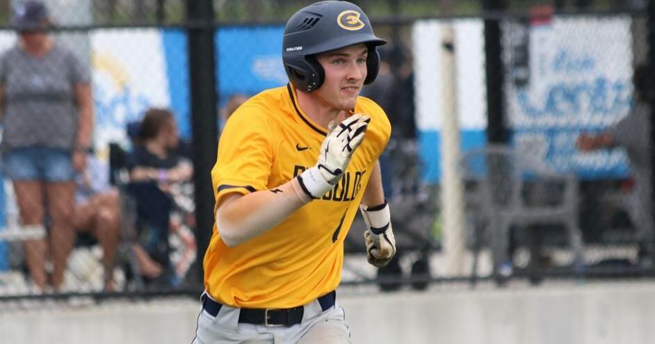 Baseball swept at Stevens Point, series finale moved to Monday | Sports ...