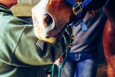 Trinity Equestrian discusses getting to a better place, in and out of ...