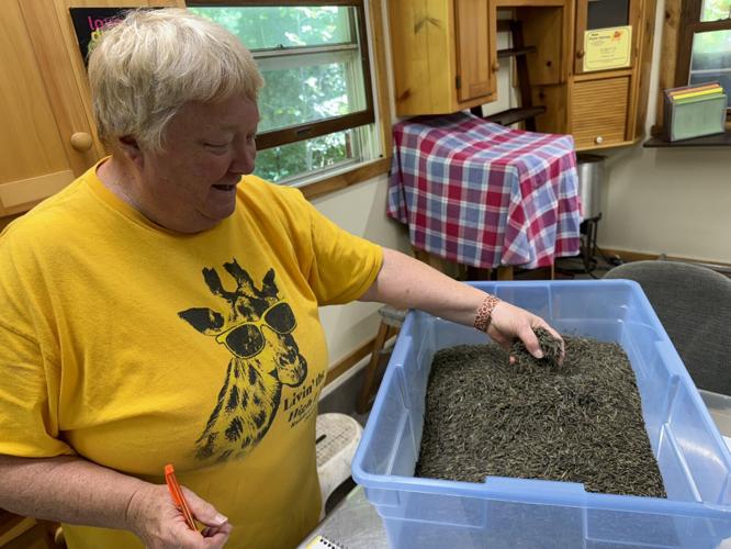 Val Haack keeps up her husband's legacy: wild rice | Outdoors ...