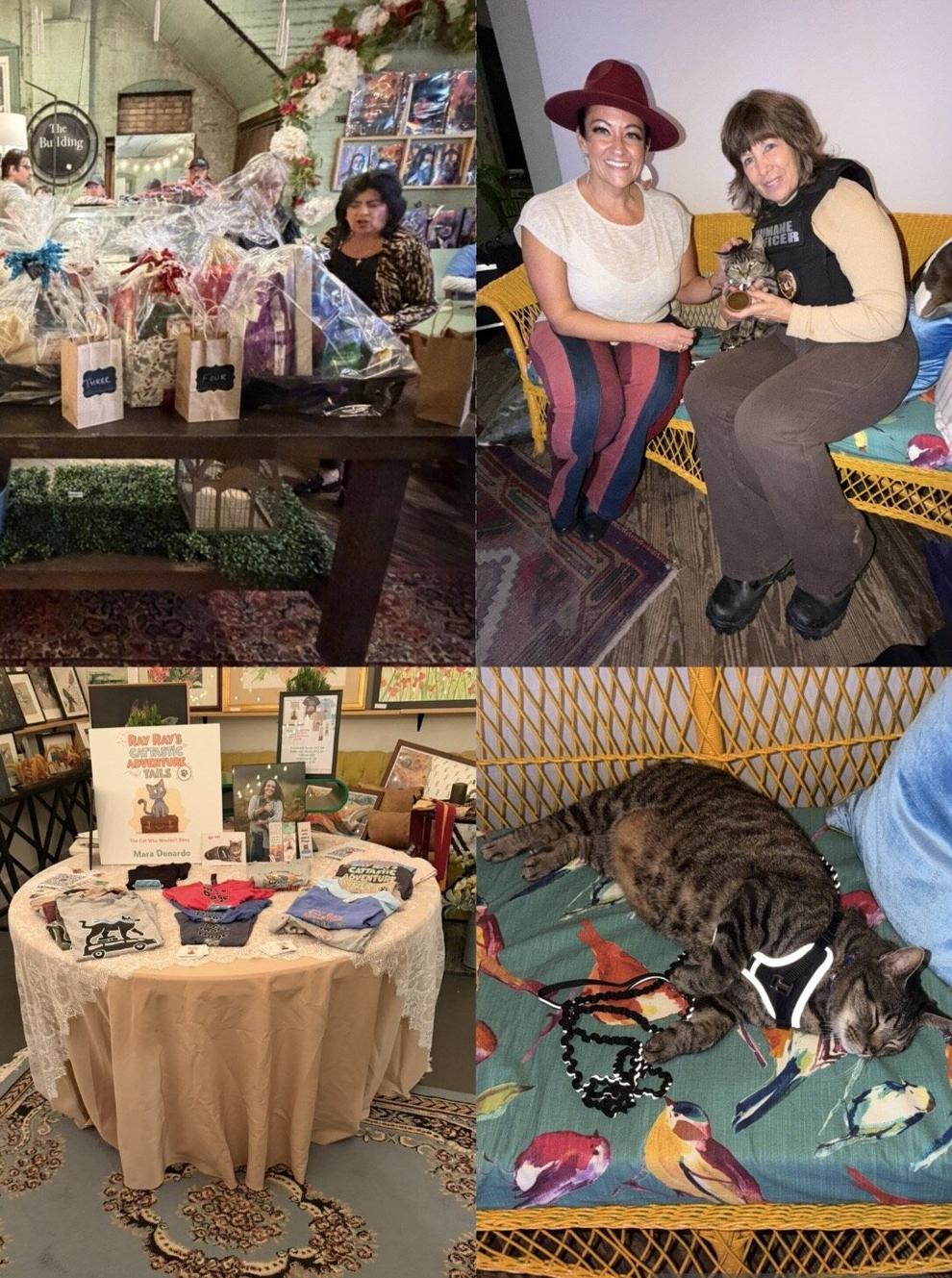 Ray Ray the cat receives the Courageous Cat Award | News | leadertimes.com