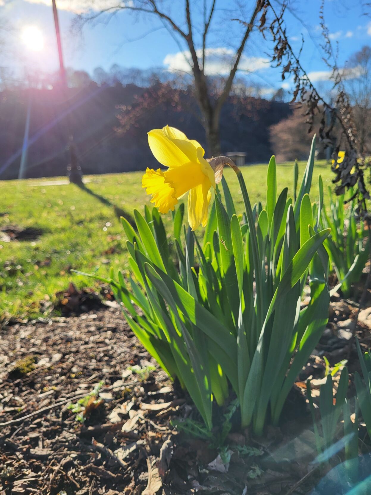 Signs of spring | News | leadertimes.com