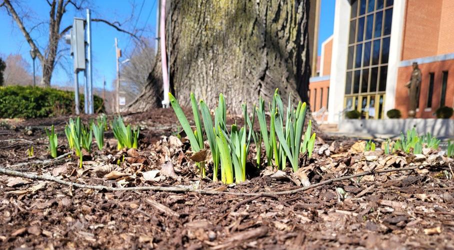 Spring grows and rivers run | News | leadertimes.com