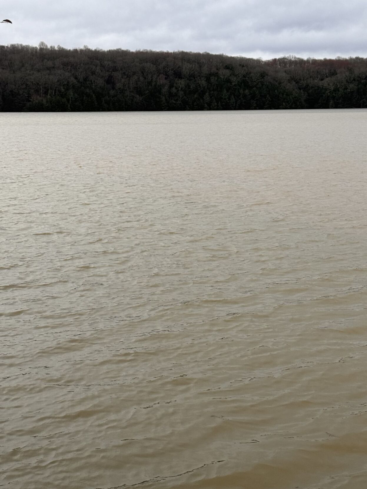 Waters rise at Keystone Lake | News | leadertimes.com