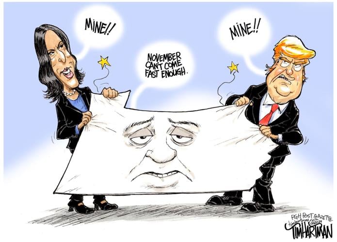 Editorial Cartoons | Opinion | leadertimes.com