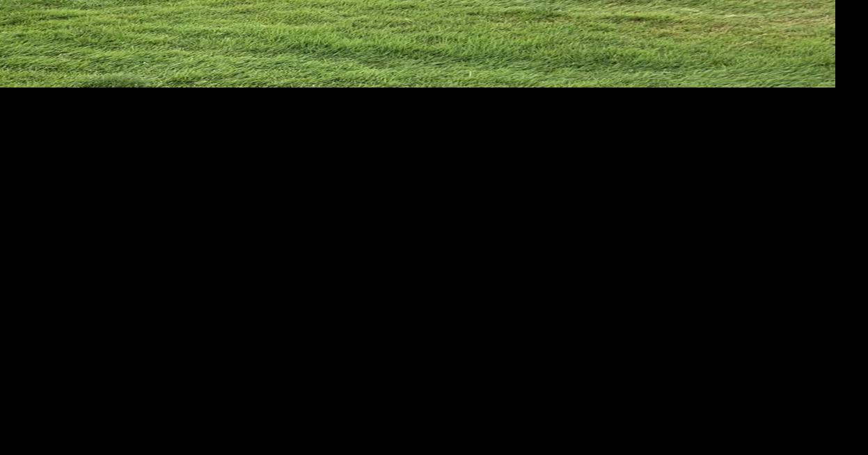 Area high school golf teams continue successful seasons on the links ...