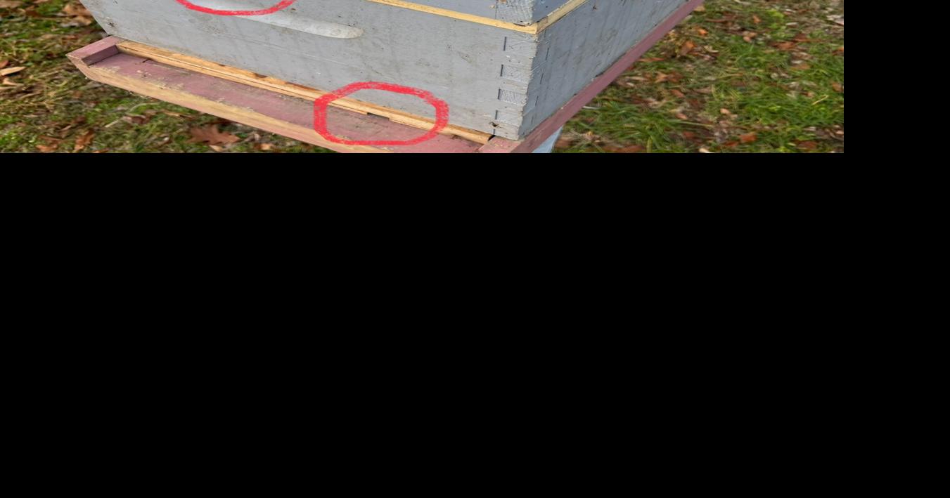 Manage Hive Moisture | Opinion | leadertimes.com