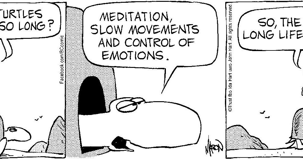 B.C. | Arts-and-entertainment | leadertimes.com