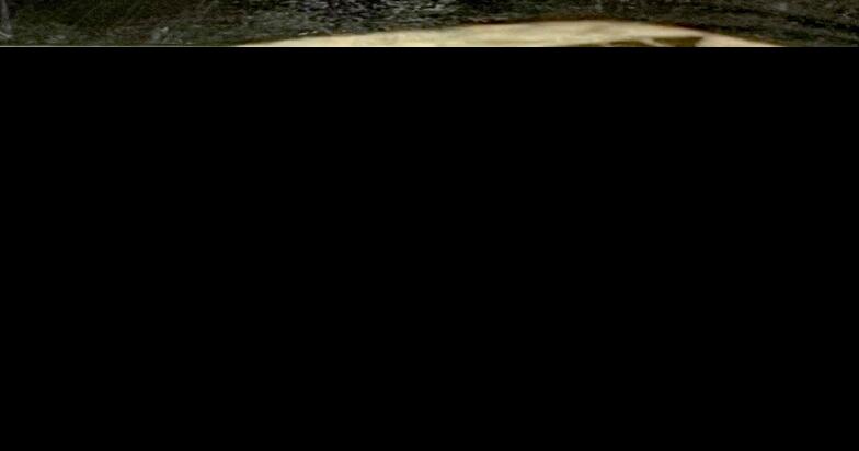 James Judson Lamison | Obituaries | leadertimes.com