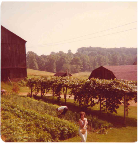 Berdell Family farm boasts lengthy agricultural lineage | Special ...