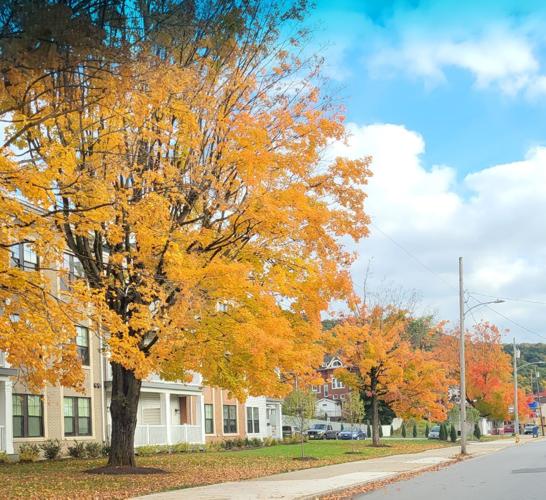 Signs of fall continuing to show | News | leadertimes.com