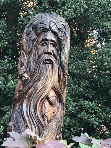 Manor Township Master Gardener Lynn Ramage wins Phipps Conservatory ...