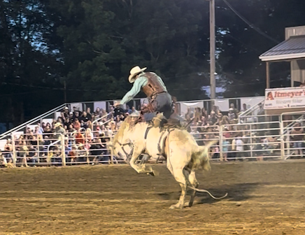 Fort Armstrong Championship Rodeo attracts large crowd, entertains all ...