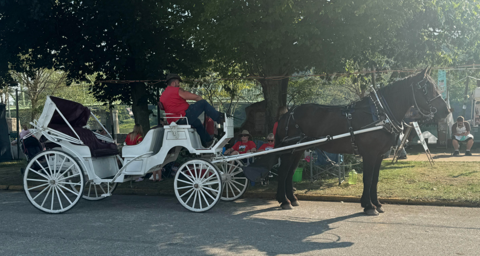 Fort Armstrong Folk Festival moments and memories | News | leadertimes.com
