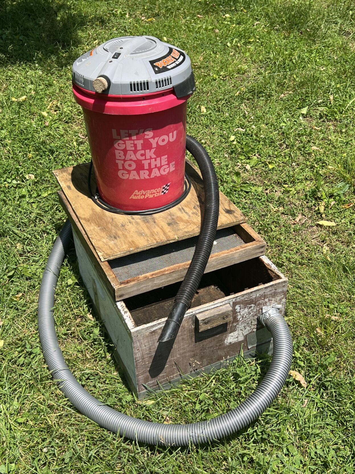 My Bee-Vac | Opinion | leadertimes.com