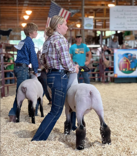 Third day of Great Dayton Fair is great with horses, goats, swine ...