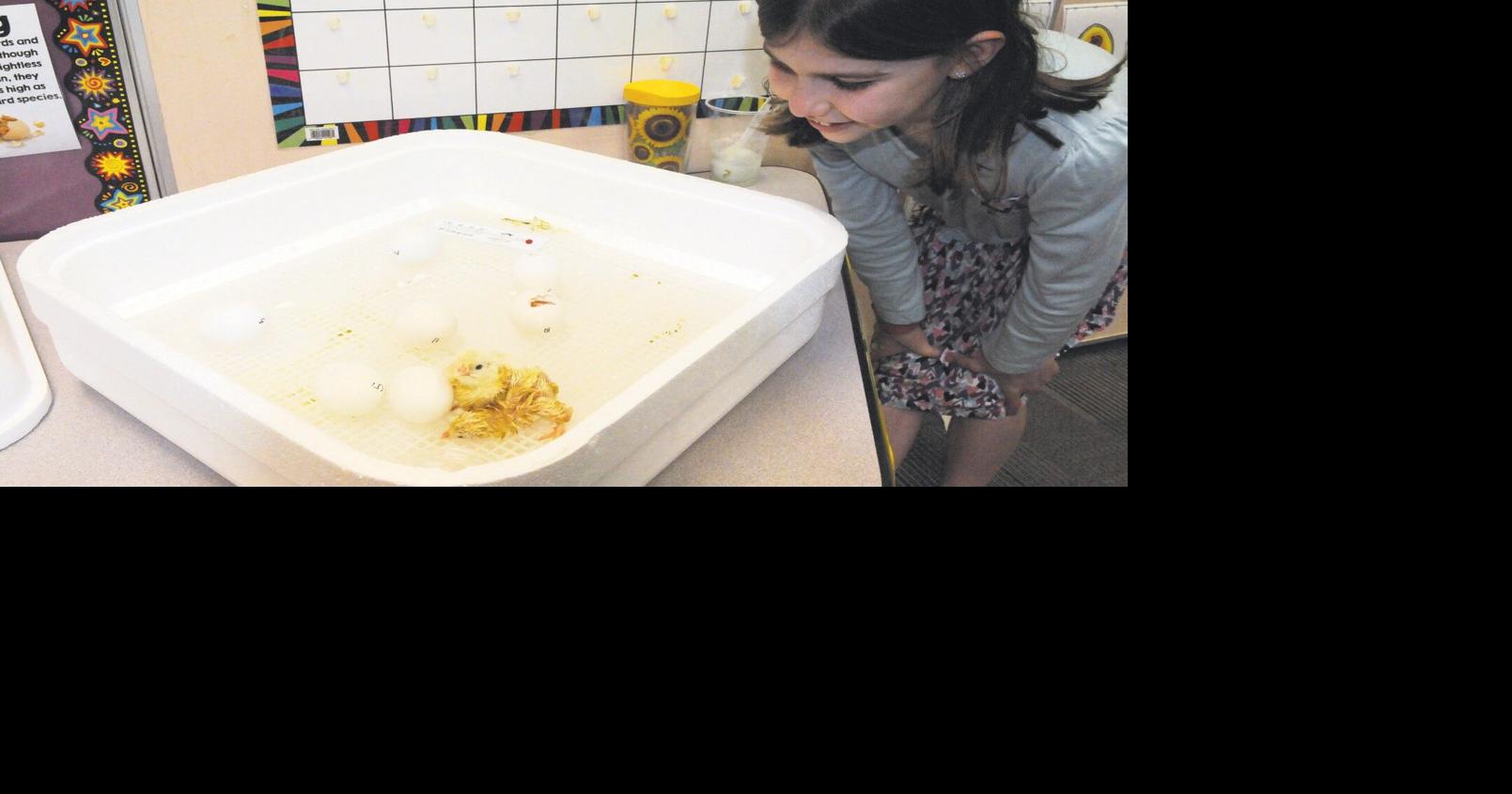 The miracle of life | Front-page | leadertimes.com