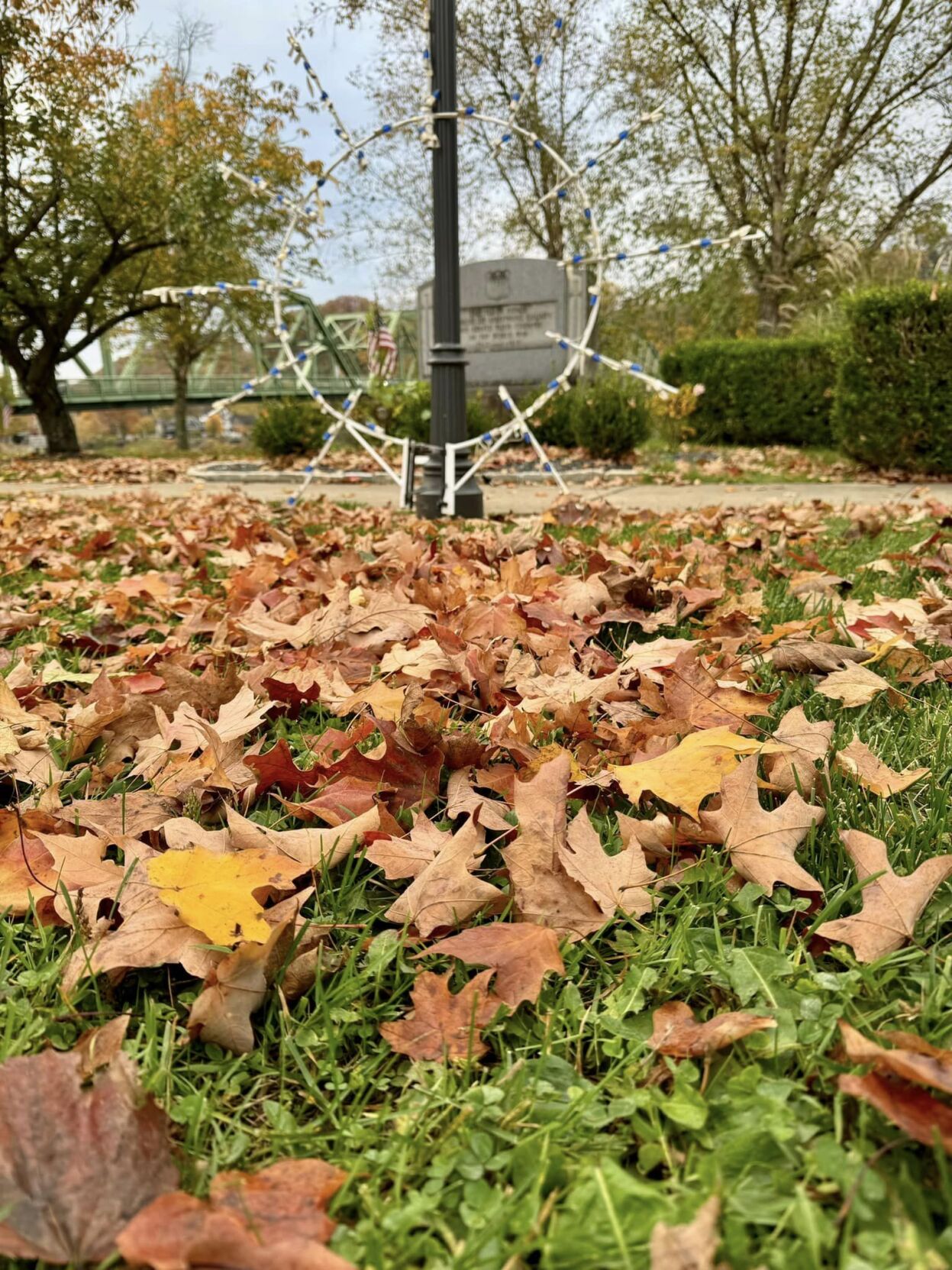 Work in the fall | News | leadertimes.com