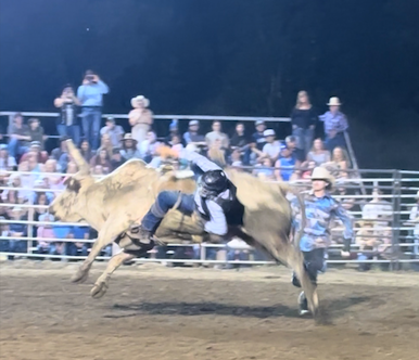 Fort Armstrong Championship Rodeo moments | News | leadertimes.com