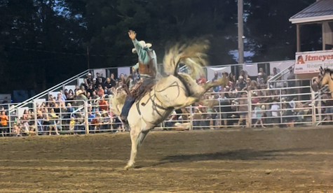 Fort Armstrong Championship Rodeo moments | News | leadertimes.com