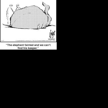 HERMAN | Arts-and-entertainment | leadertimes.com