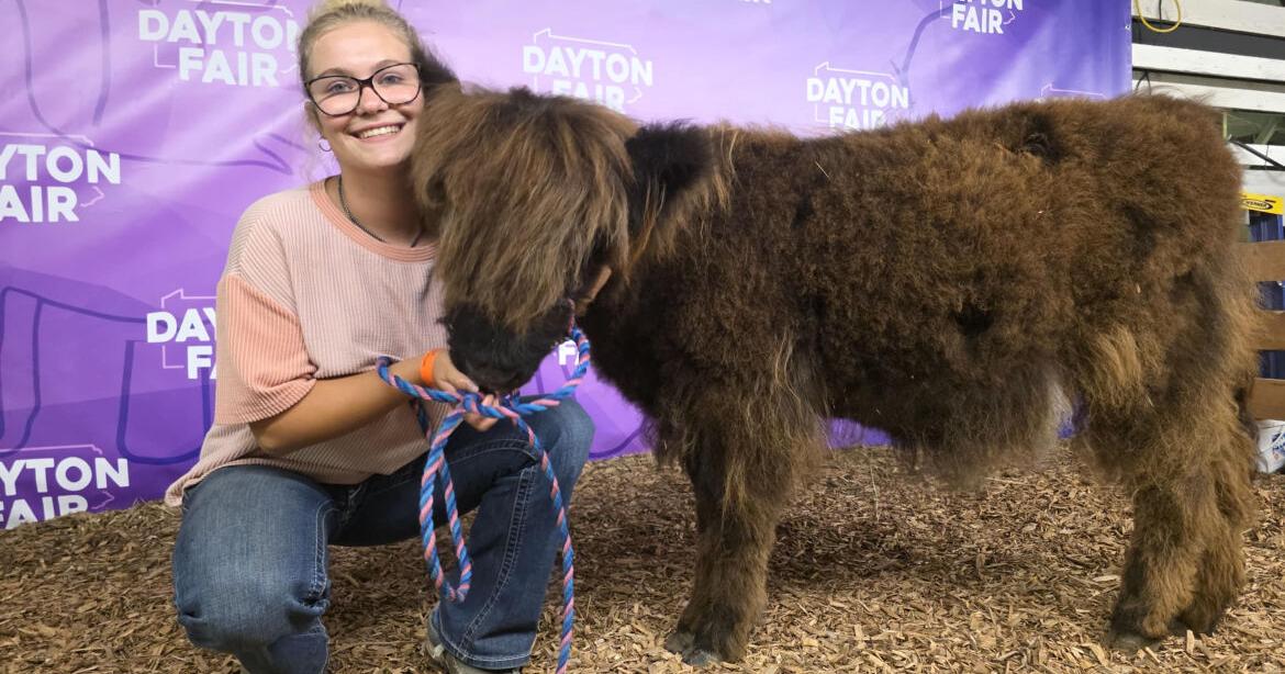 Great Dayton Fair moments are filled with fauna and festivities | News ...