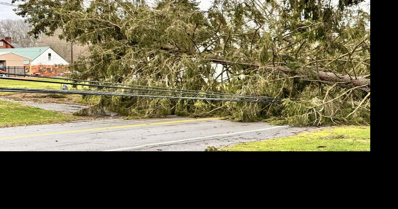 Early April winds topple trees, tear down wires and cause road closures ...