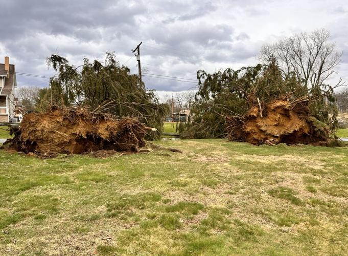 Early April winds topple trees, tear down wires and cause road closures ...