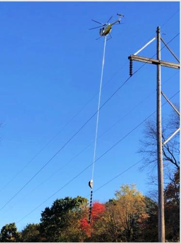 Aerial tree trimming | News | leadertimes.com