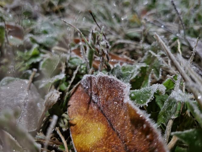 Frosty, sunny fall morning | News | leadertimes.com