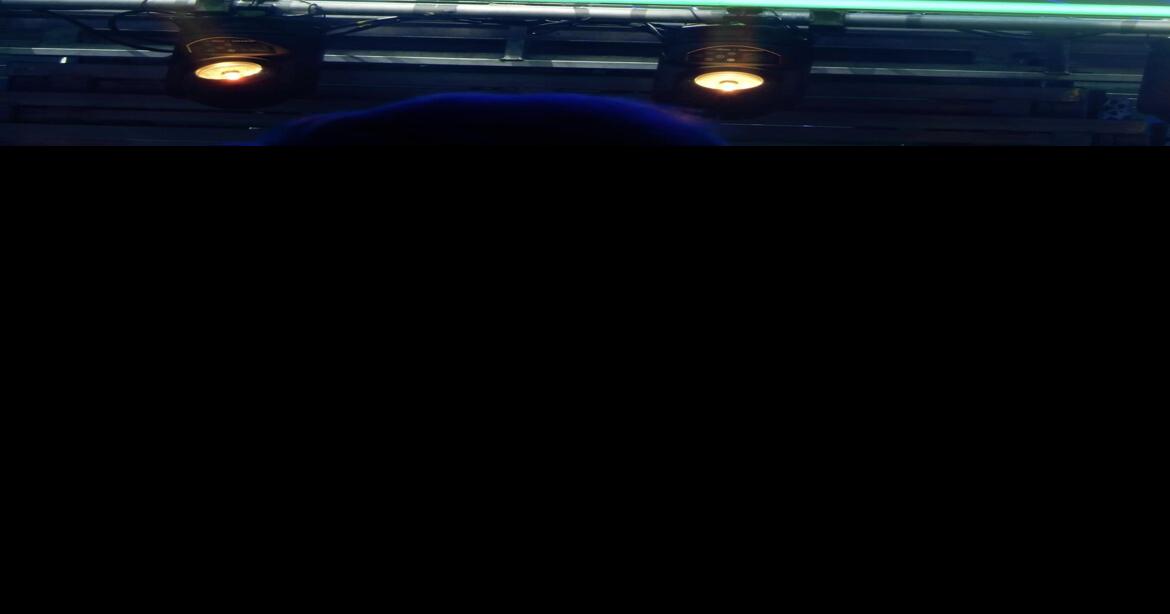 TSO fans rewarded with another powerful experience | News | leadertimes.com