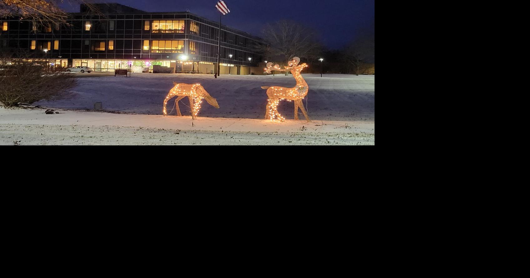 Reindeer at the ready at local hospital | News | leadertimes.com