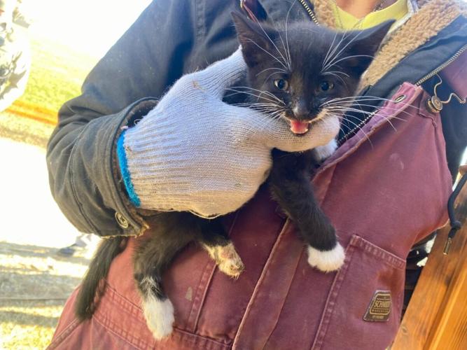 Humane police officers hope for community support during the Week of ...