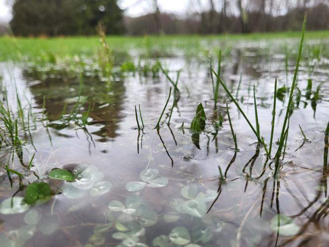 Flash flooding returns to Armstrong County with more waves of heavy ...