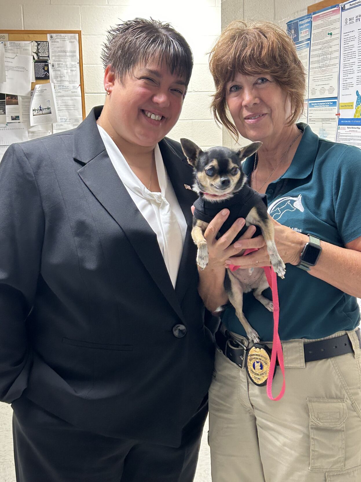 County prison board approves ACJ-based dog training program | News ...