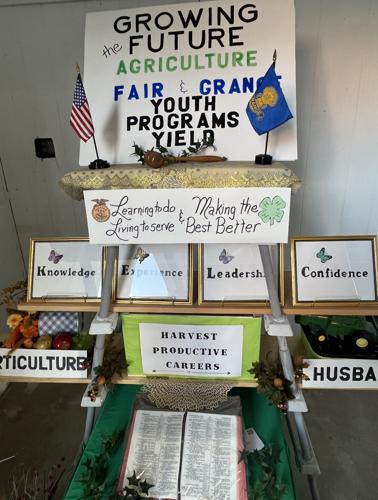 142nd Great Dayton Fair gets underway | News | leadertimes.com