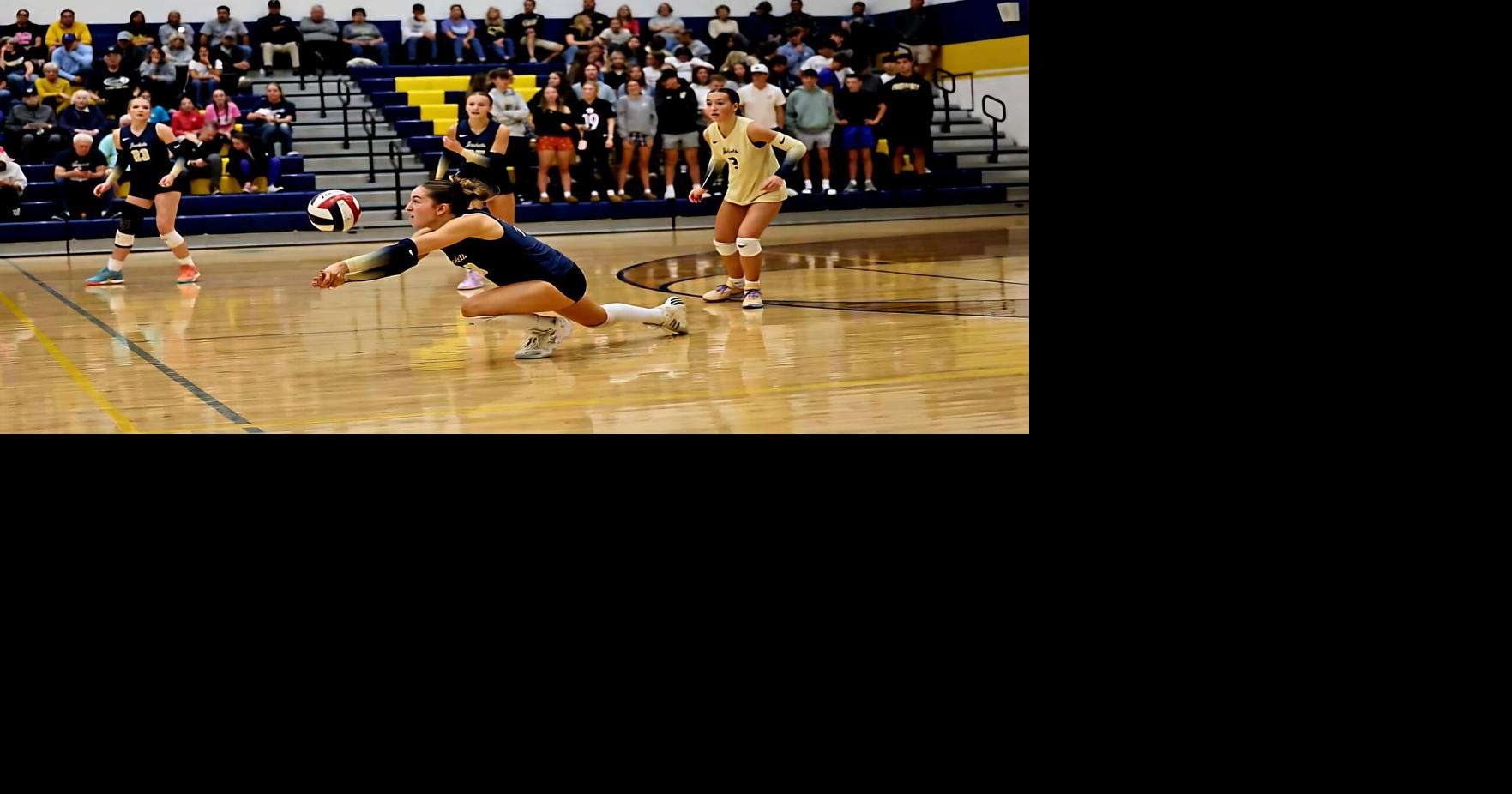 Three local girls volleyball standouts named to PVCA all-state team ...