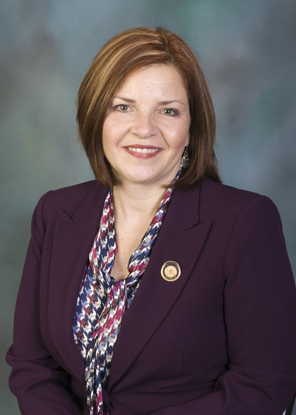 Election previews: Armstrong County state House | News | leadertimes.com