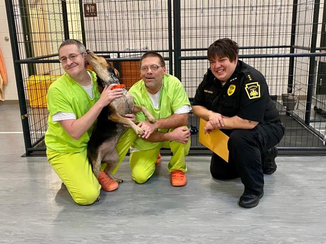 Pooch imprisoned at the Armstrong County Jail | News | leadertimes.com
